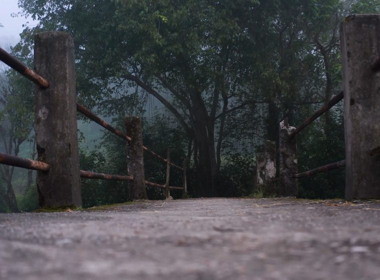 Blueprint Theme Demo