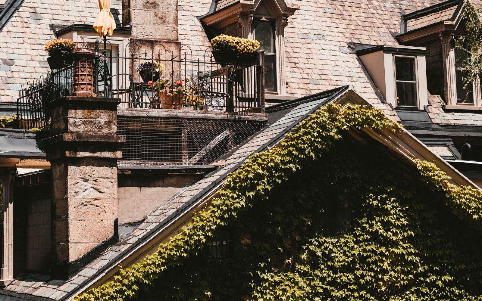 Blueprint Theme Demo