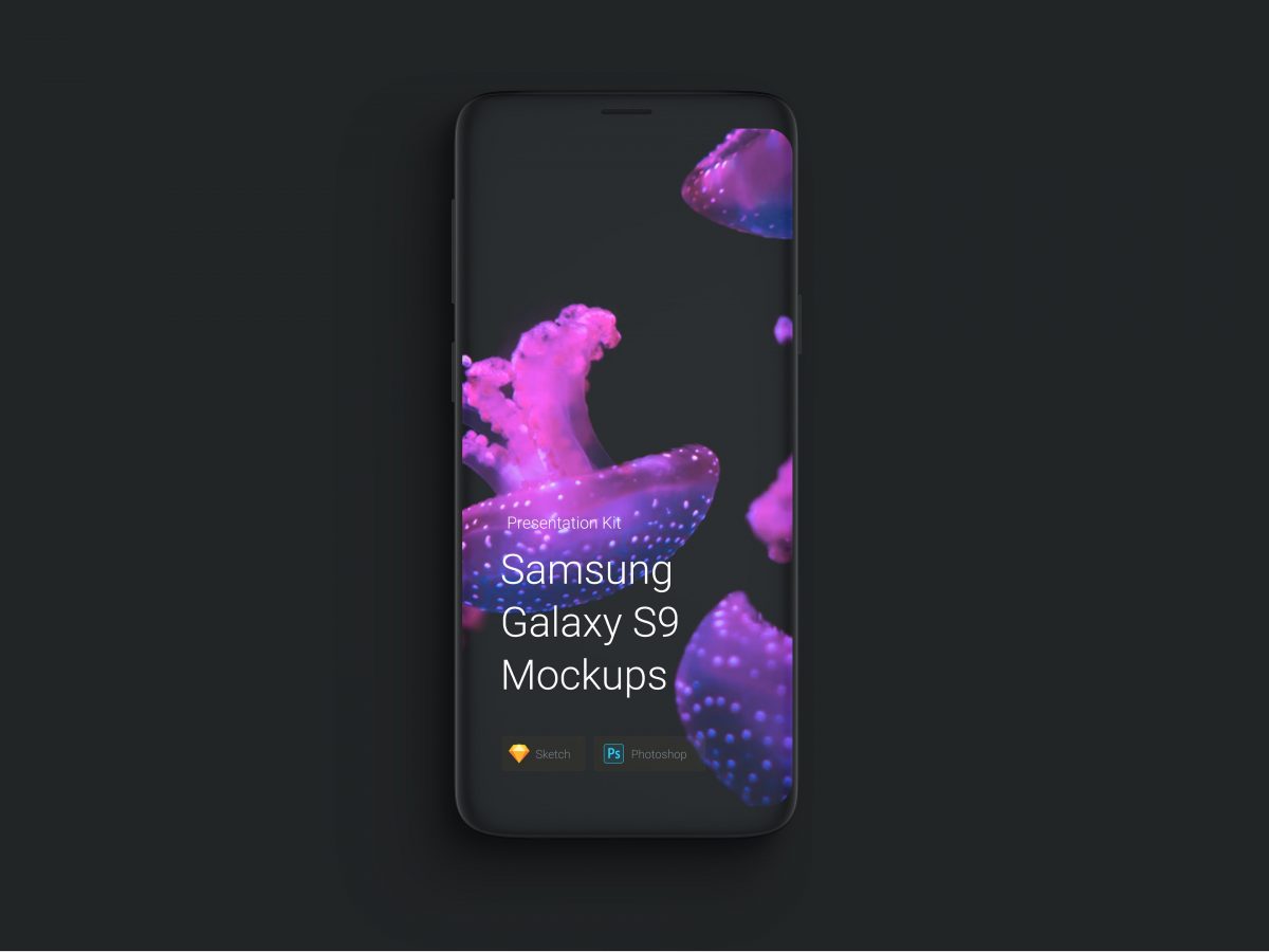 28 Amazing Design Portfolios to Inspire You - White Space